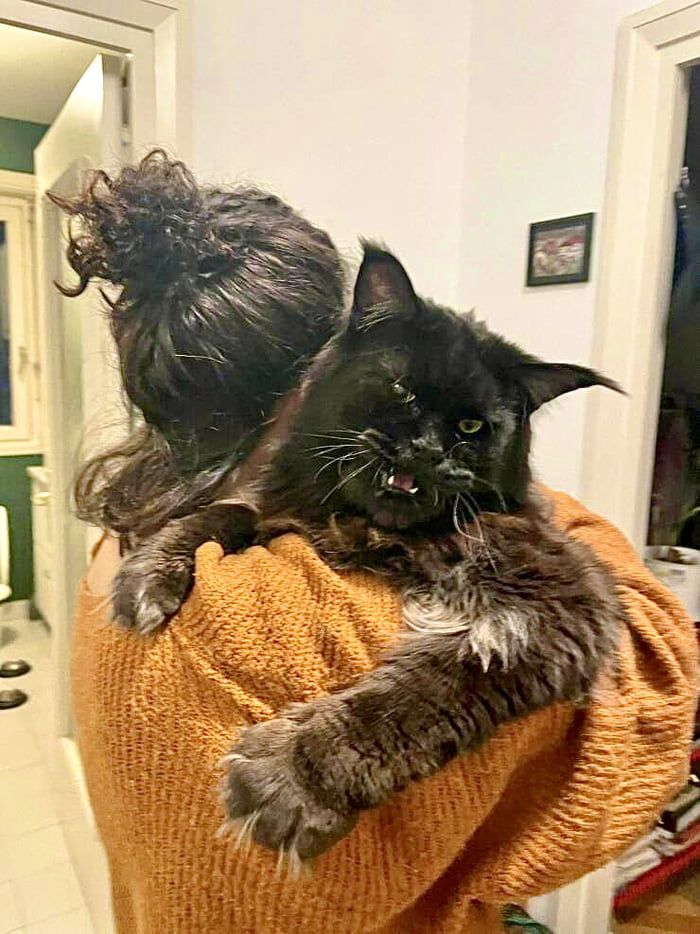 Kitty from Heck - 9GAG