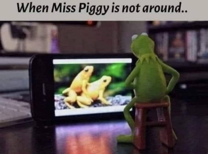 Could u imagine if Kermit got caught - 9GAG