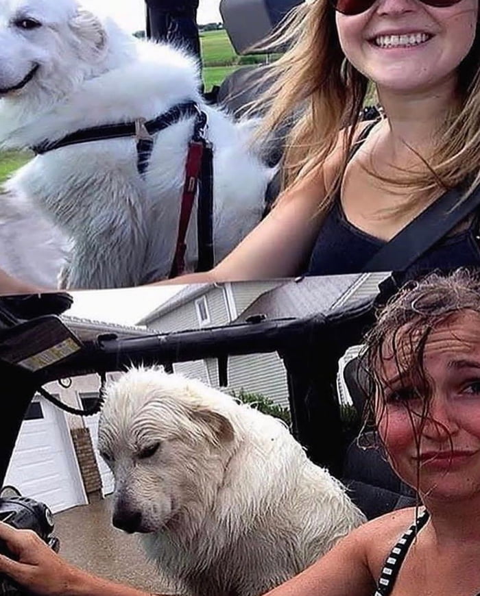 Weather man got it wrong - 9GAG