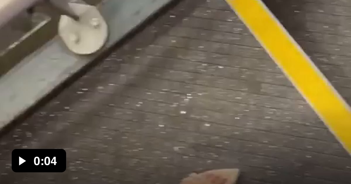 To slide down a handrail - 9GAG