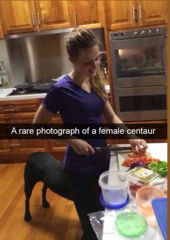 Just a female centaur cooking. - 9GAG