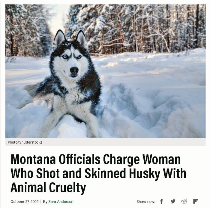 Claiming that the dog was a wolf - 9GAG