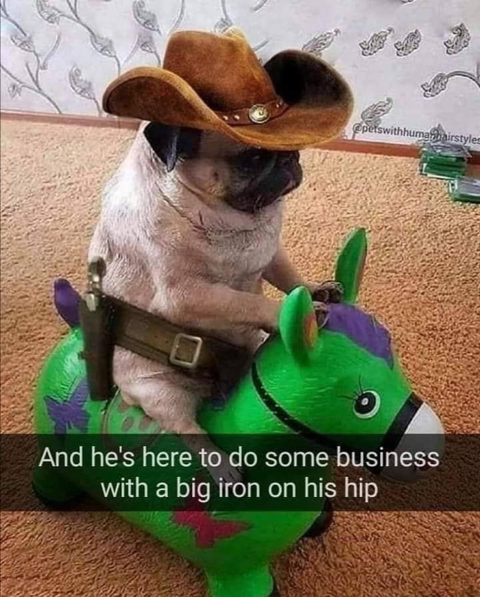 Arizona Rangers - 9GAG