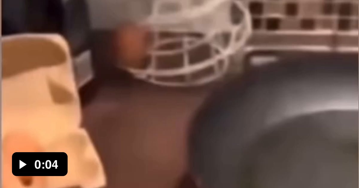 Bri'ish innit? - 9GAG