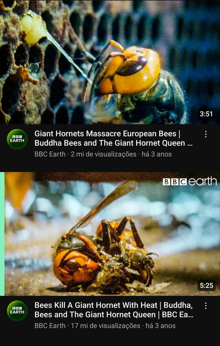 Why people root for the weak? - 9GAG