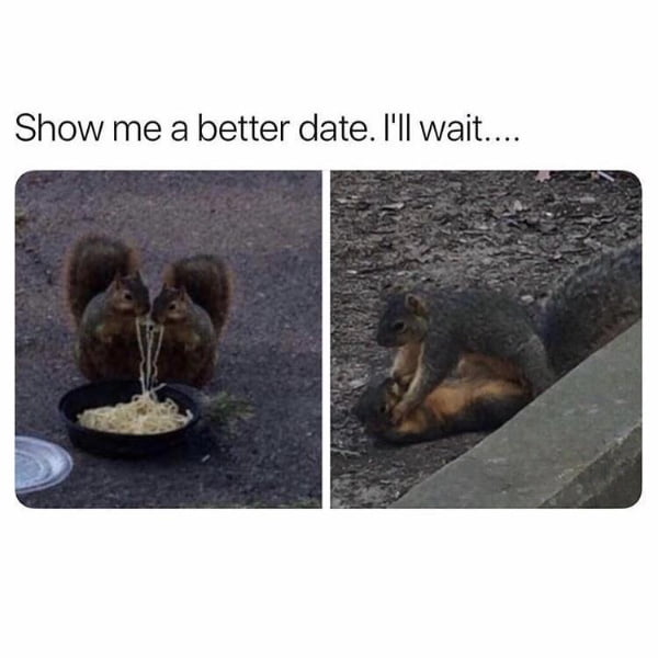 New match on timber - 9GAG