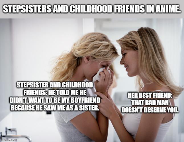 Those protagonists are indeed inconsiderate towards their stepsisters and childhood friends. - 9GAG