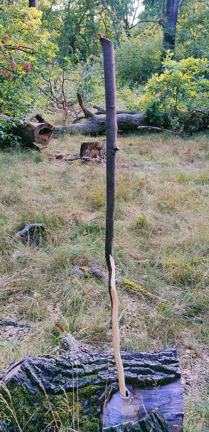 I didn't find the stick, the stick has chosen me. - 9GAG