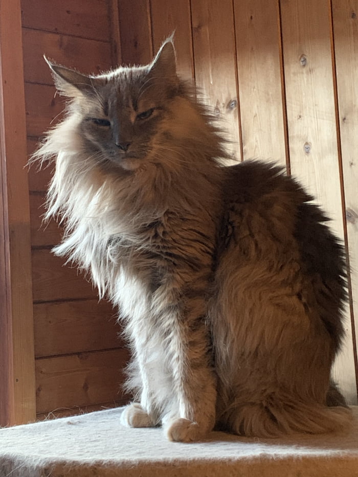 Must’ve been a rough night - 9GAG