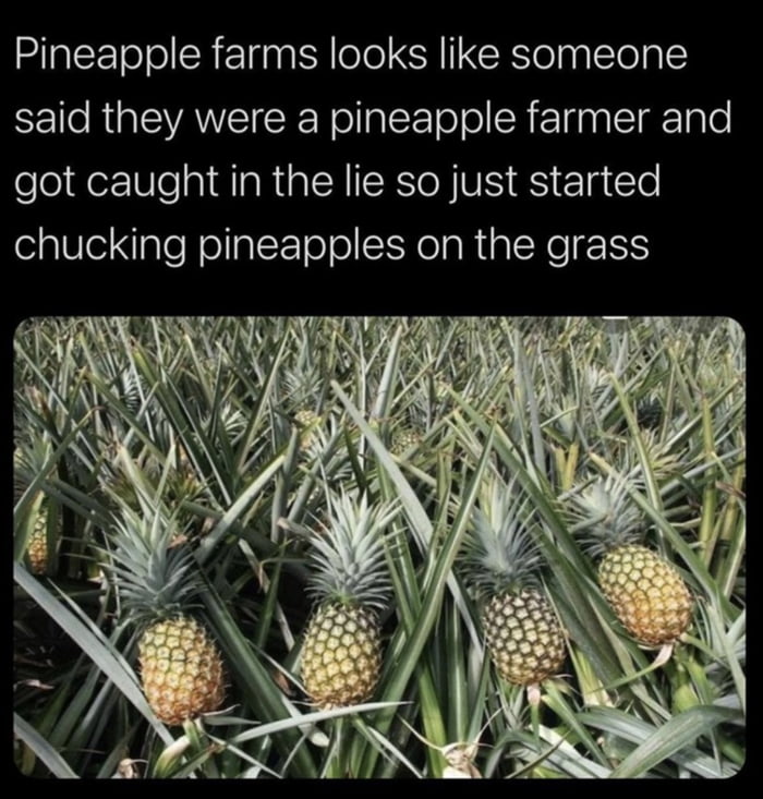 Ananas - 9GAG