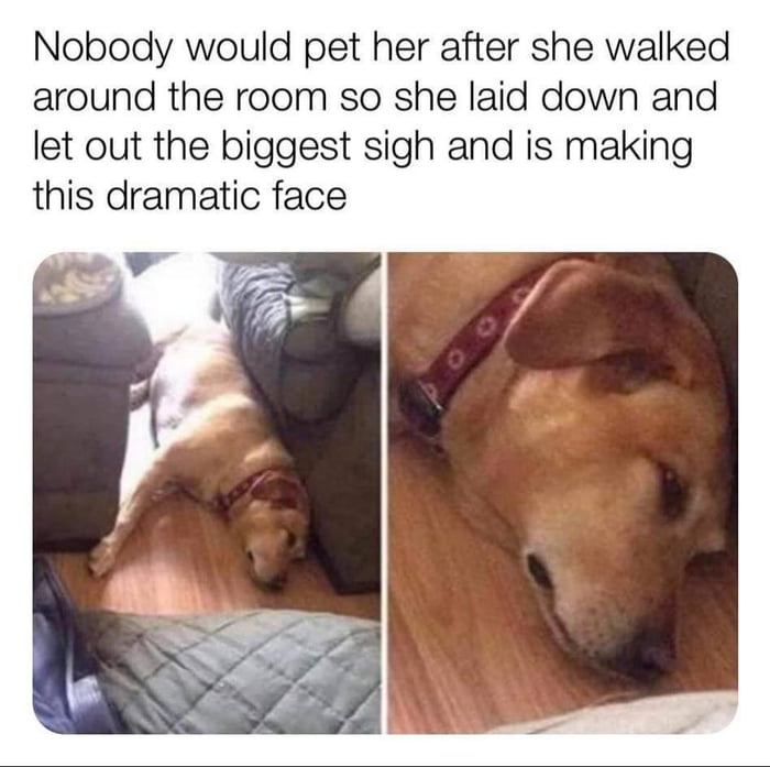 She is so dramatic...... - 9GAG