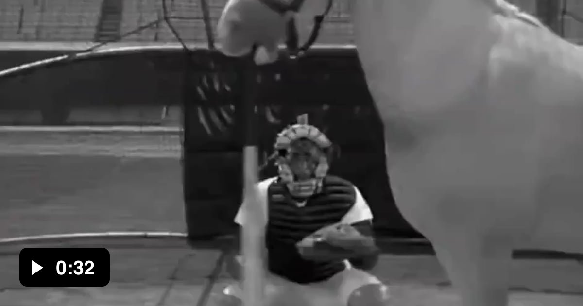 Mister Ed Plays Baseball - 9GAG