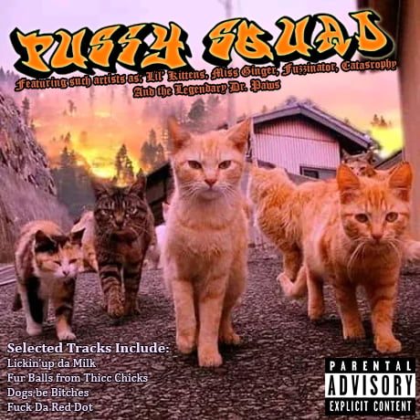 Pic of cats looked awfully like a rap album cover, so I embellished ...