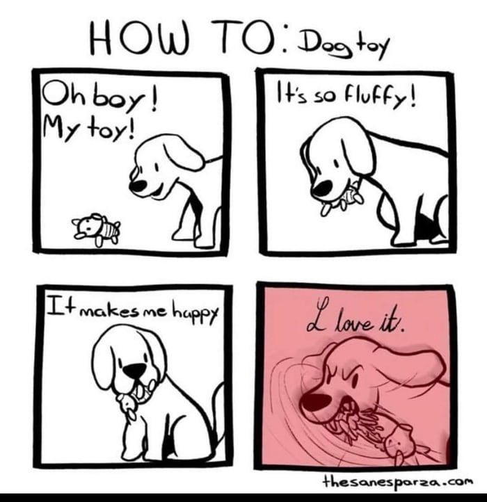 The mind of dogs - 9GAG