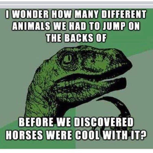 Giddyup 9gag