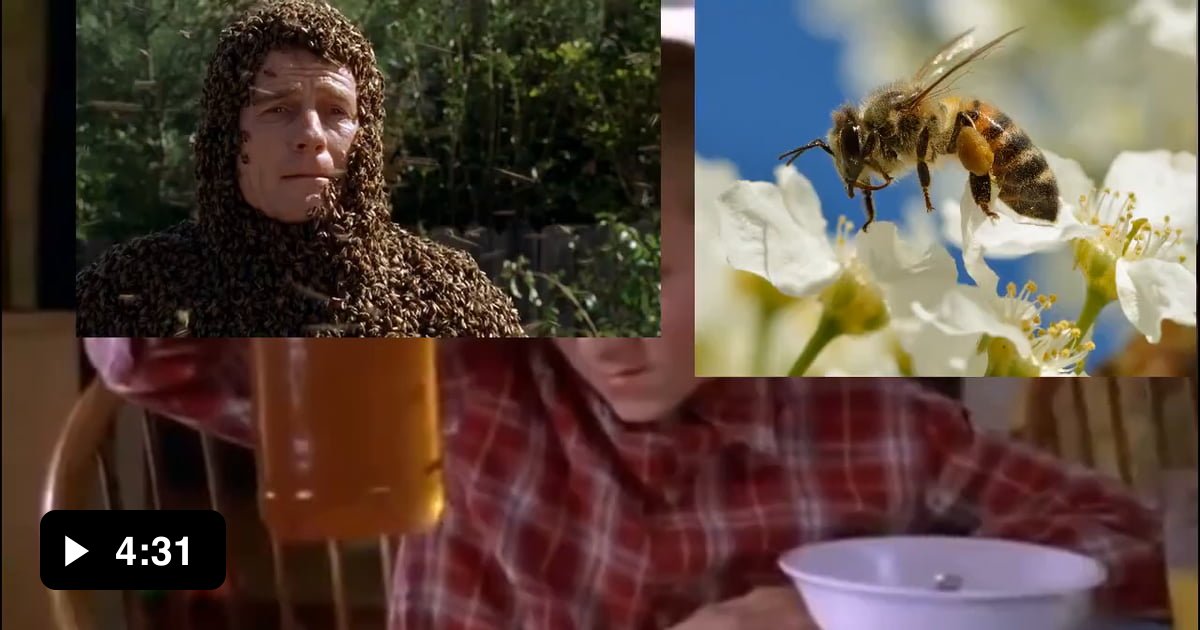 Only Hal would feud with a bee... - 9GAG