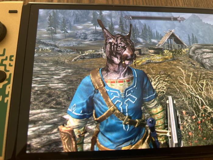 Link is looking weird, is this a known glitch? - 9GAG