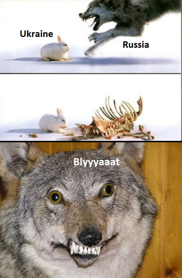 In a world of sheep, I am the wolf - 9GAG