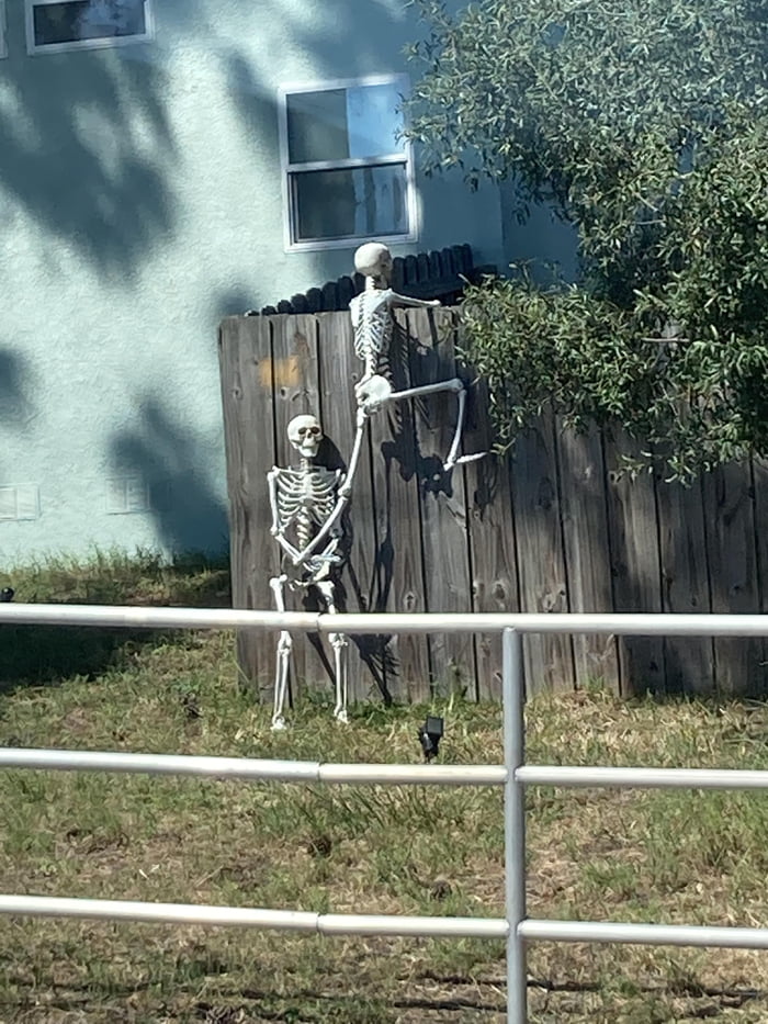 Two skeletons hopping a fence - 9GAG