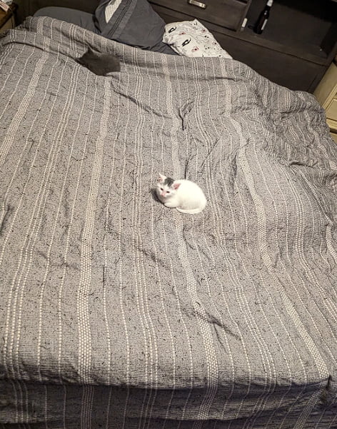 Ready for bed! - 9GAG