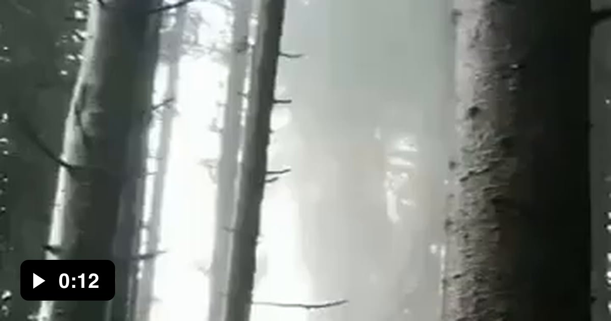Geyser in the middle of the forest in hokkaido - 9GAG