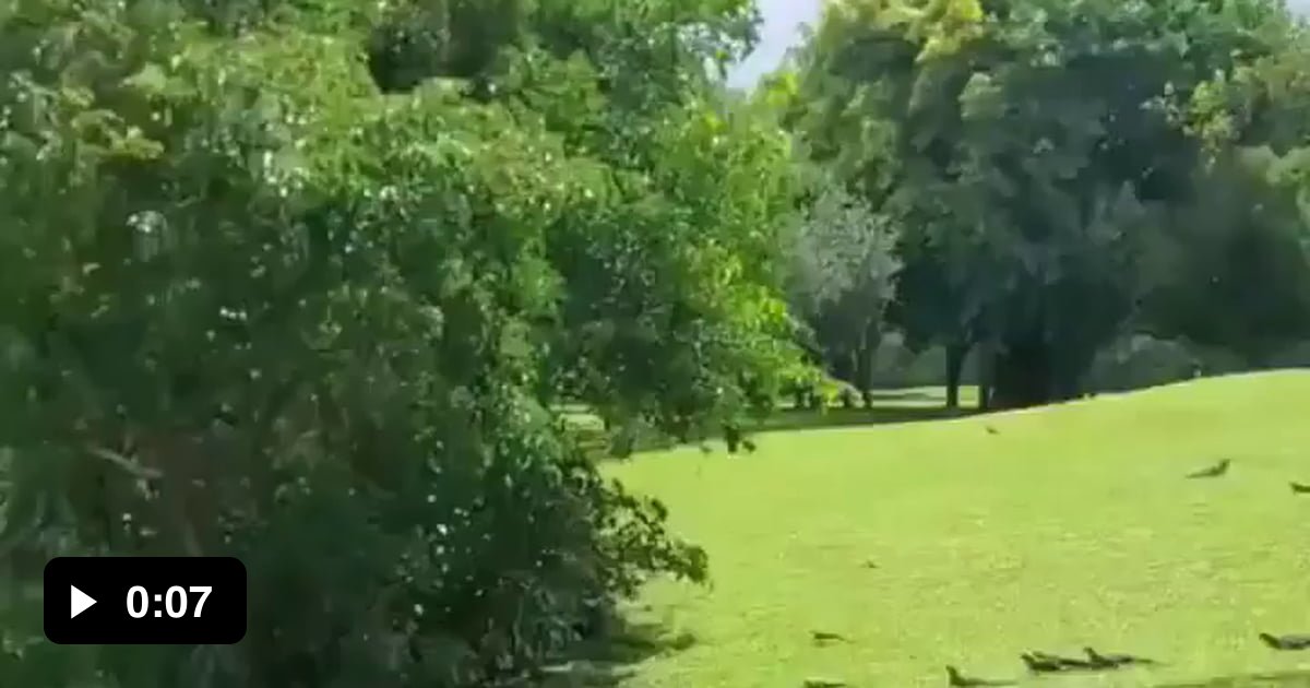 Excuse Me Sir. Hey Don't Run From the LORD - 9GAG