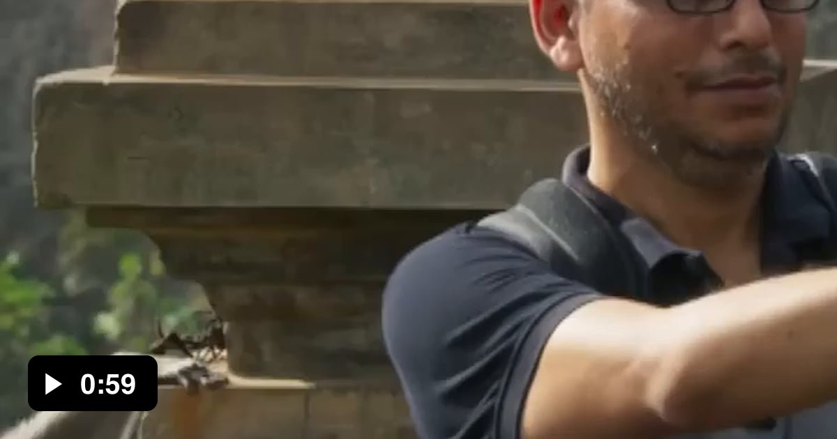 David Attenborough Explains Macaque Behavior - 9GAG