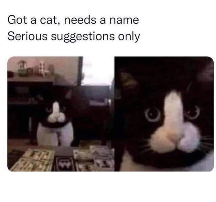 Only serious comments. - 9GAG