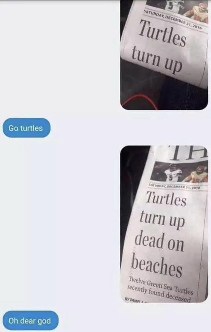 Turtle - 9GAG