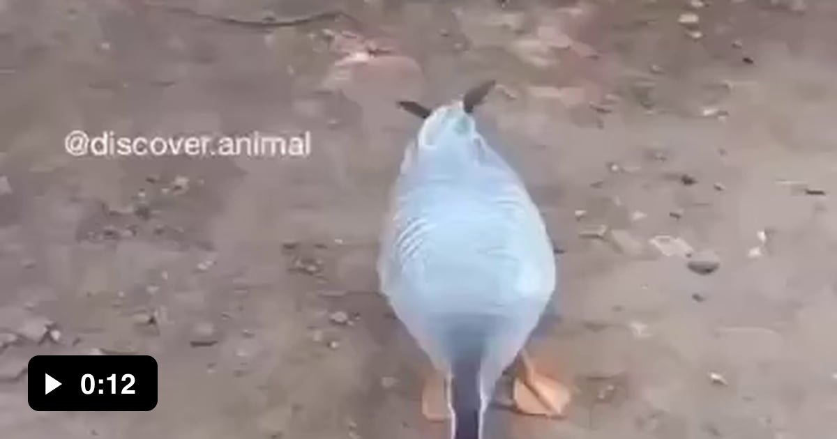Happy tippy taps - 9GAG