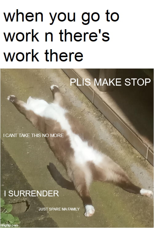 Defeated cat is defeated - 9GAG