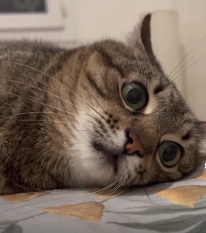 Life is pointless and nothing matters and I'am always tired also ı can ...