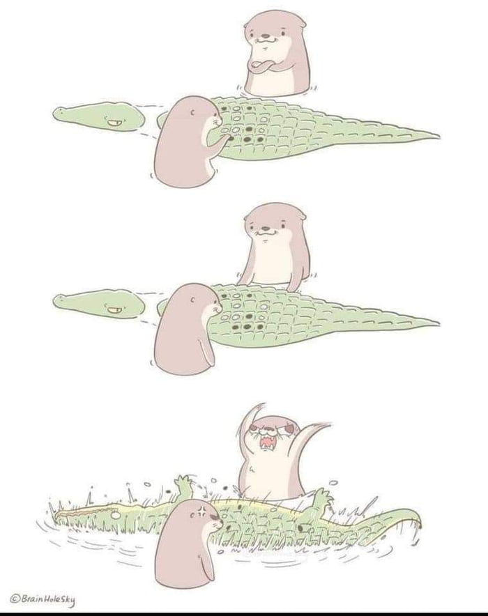 Croc being patient - 9GAG
