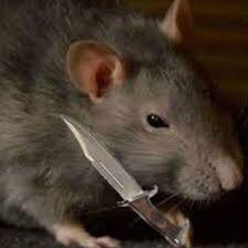 Rat with knife. - 9GAG