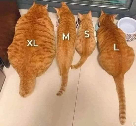 Pick your size - 9GAG