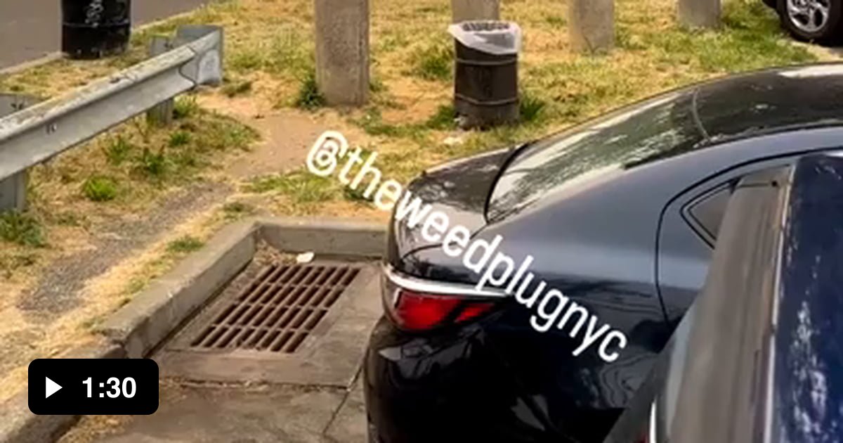 NYPD Chase and Arrest Moped Rider - 9GAG
