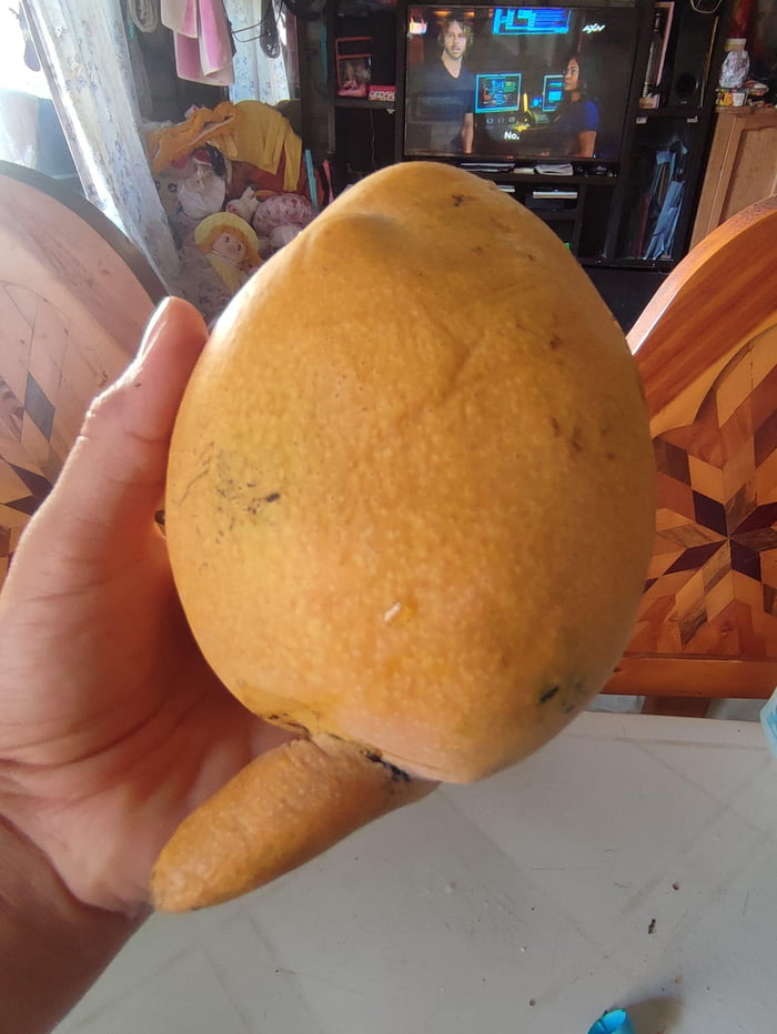 Un mango macho - 9GAG