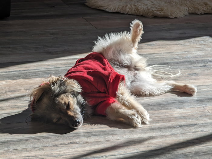 Preferred sleeping position - 9GAG