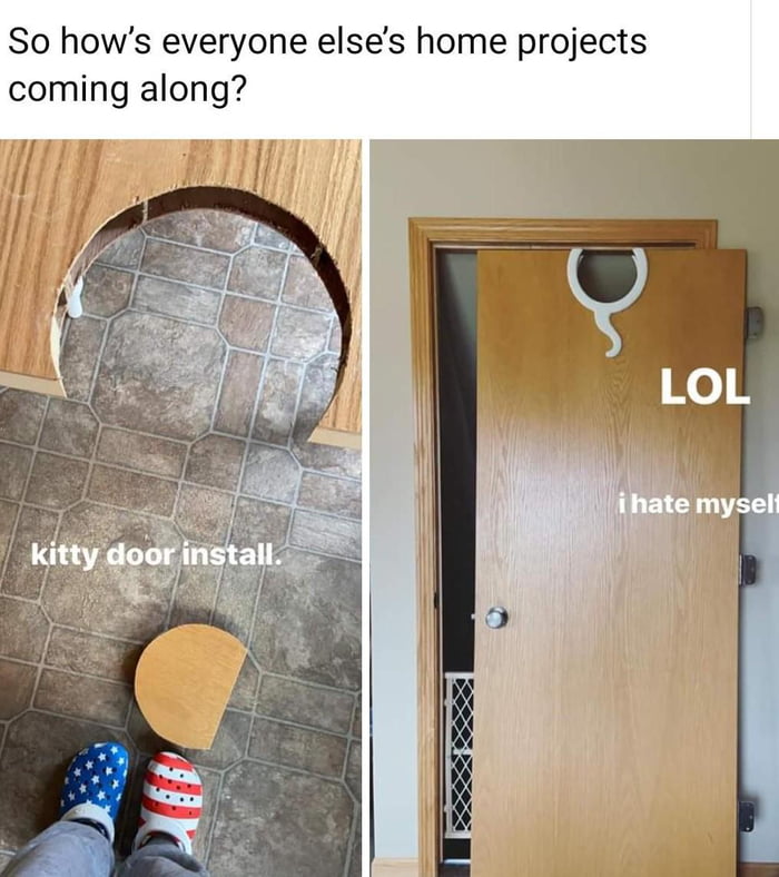 Oh Spider cat Spider cat - 9GAG