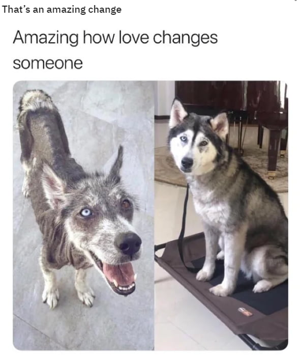 What an amazing change! - 9GAG