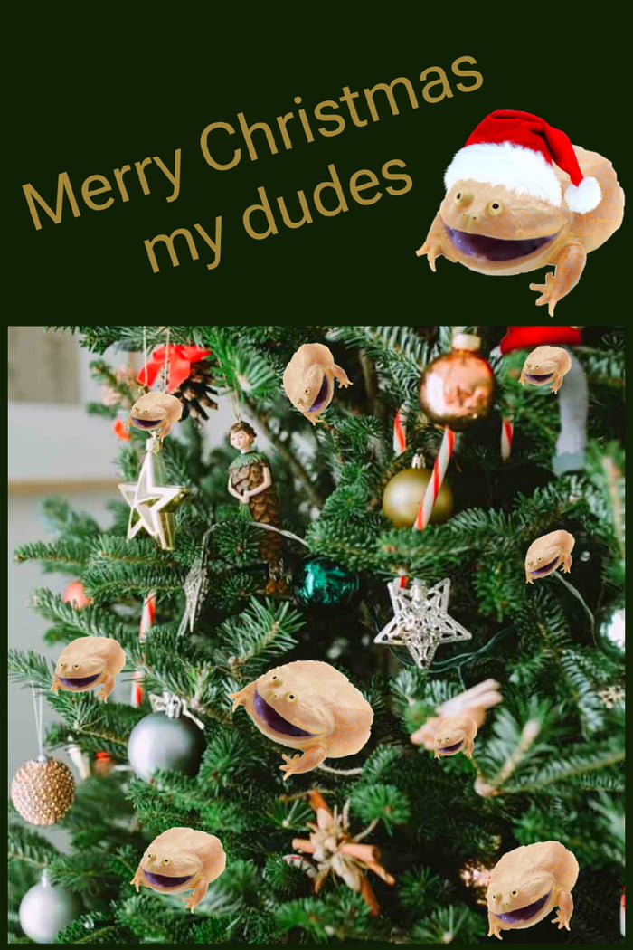 Wednesday Frog jumped over a few days to wish you a Merry Christmas - 9GAG
