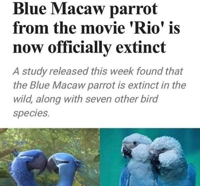 This is so sad! - 9GAG