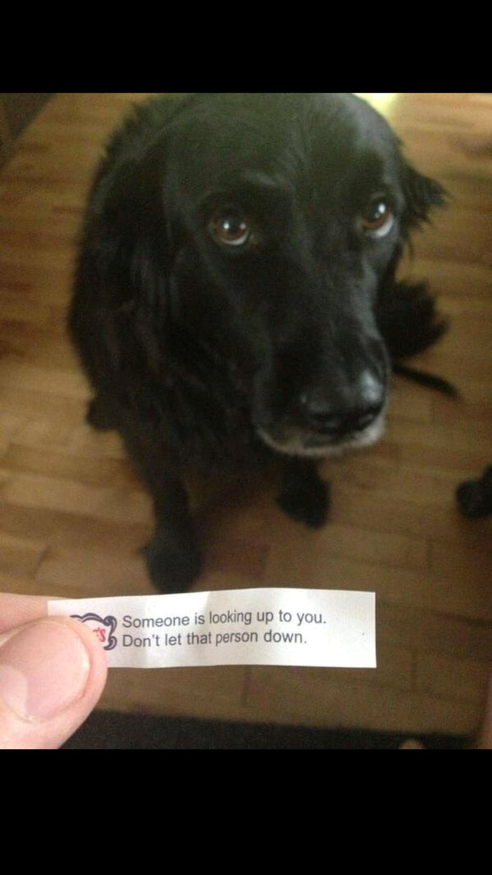 I gotcha, pal. - 9GAG