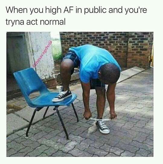 Gotta act normal. - 9GAG