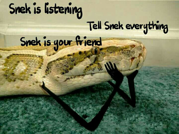 Snek want to be your friend - 9GAG