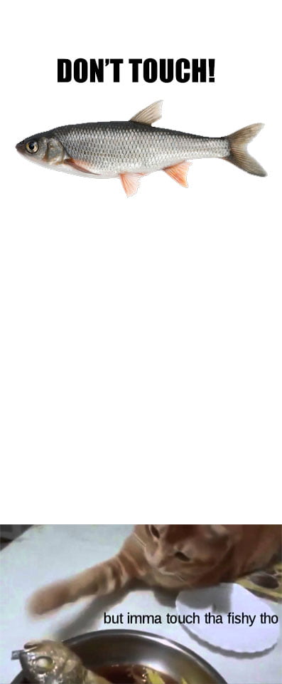Touch da fishy! - 9GAG