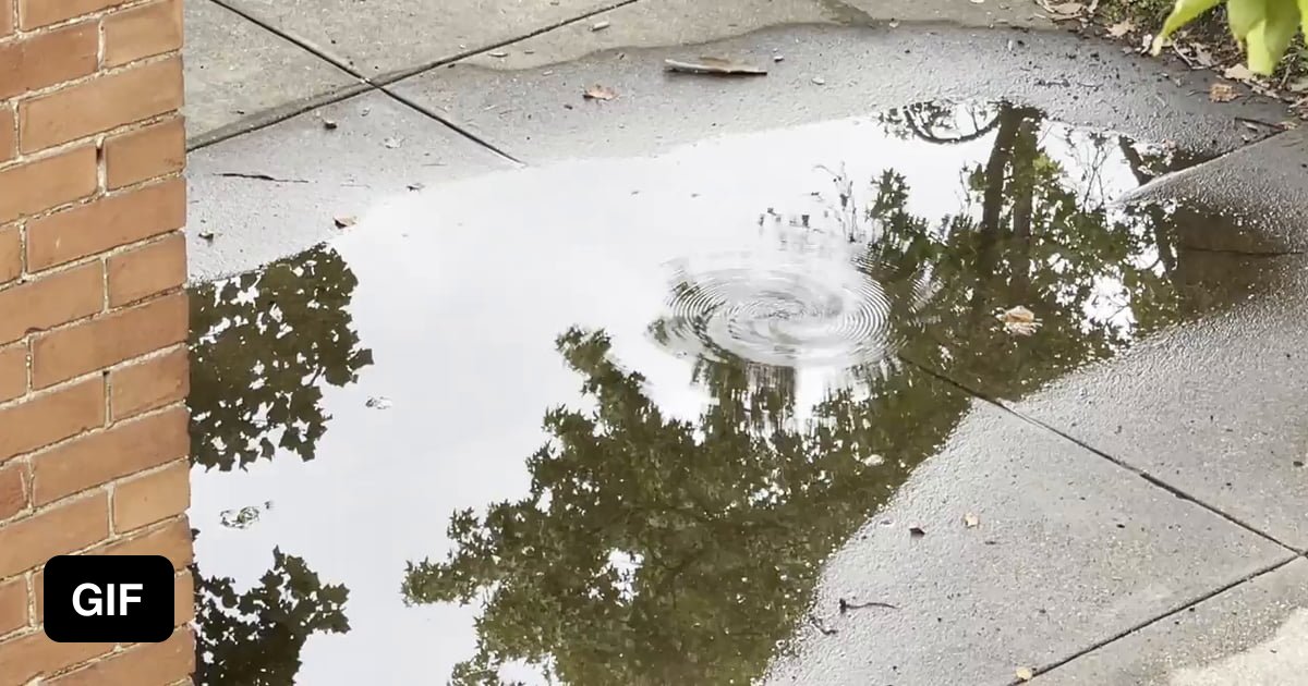 This trippy puddle today. - 9GAG