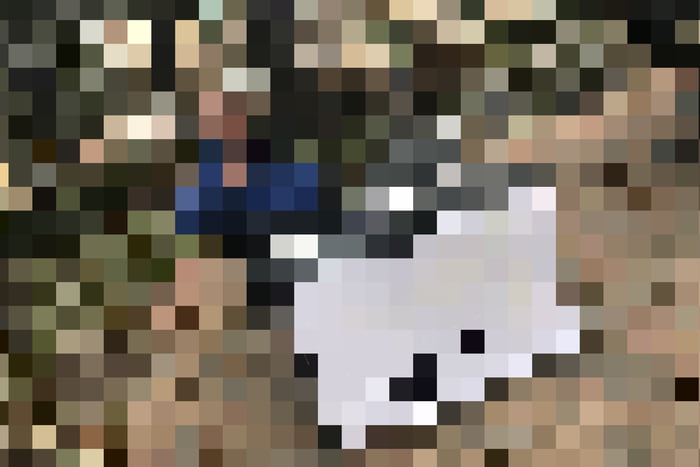 Can you recognize this meme from its pixelated image? (1/4) - 9GAG