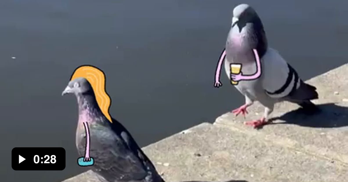 Mating dance by Sam Cotton - 9GAG