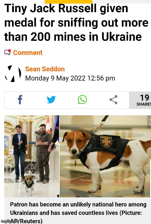 Pretty awesome to put those super sniffers to good use - 9GAG